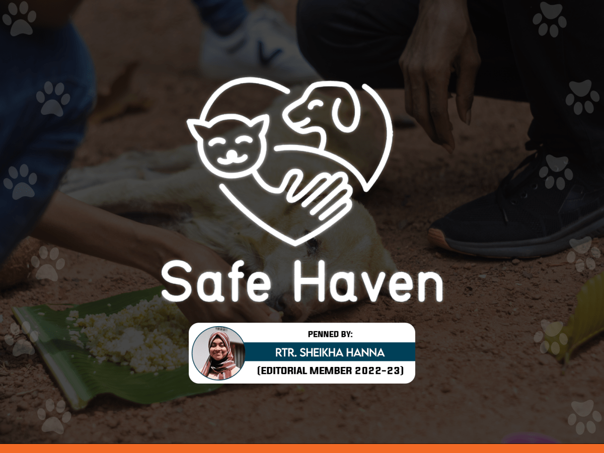 Safe Haven – Rotaract Club of SLIIT